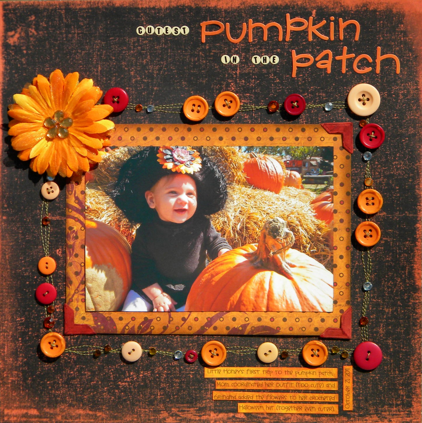 Cutest Pumpkin in the Patch