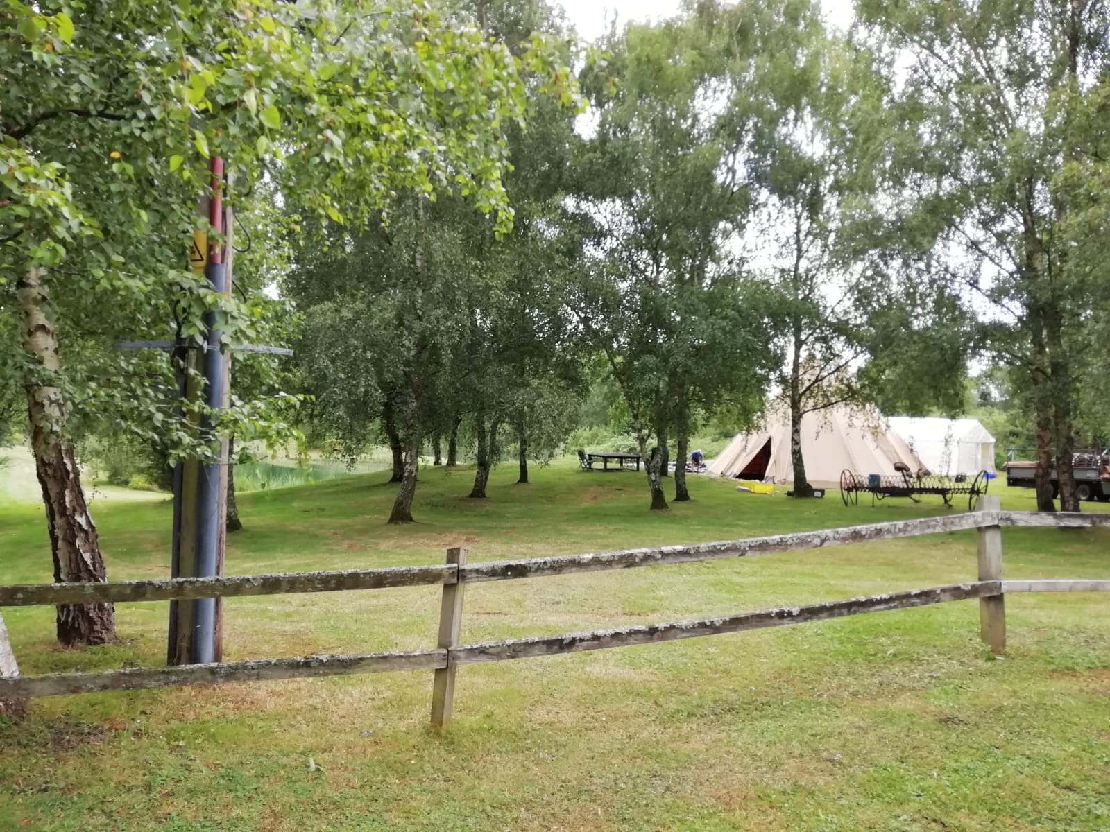 NWR walks the West Sussex Literary Trail 2019: Duncton to Charlton