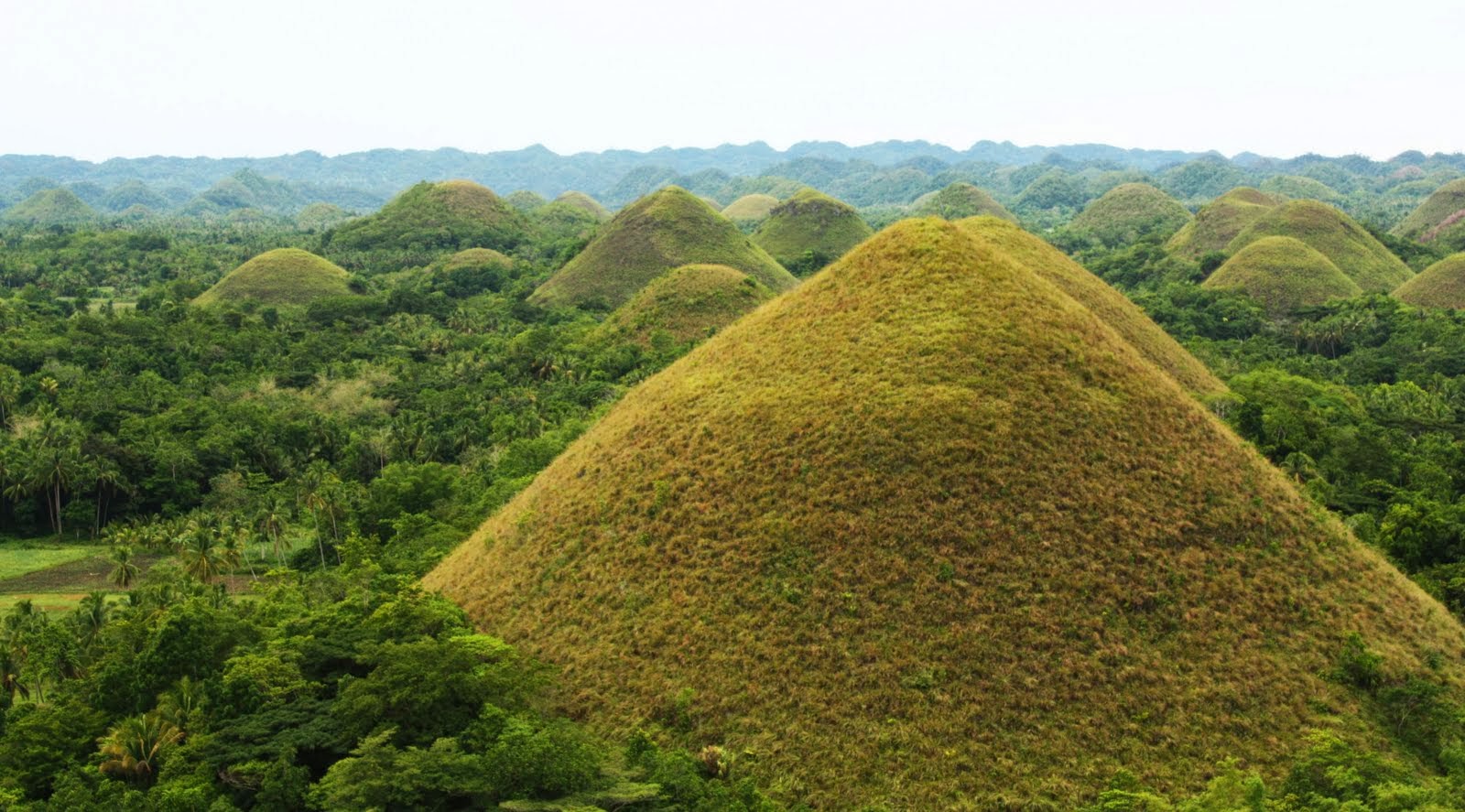 Masaya Dito Sa Bohol