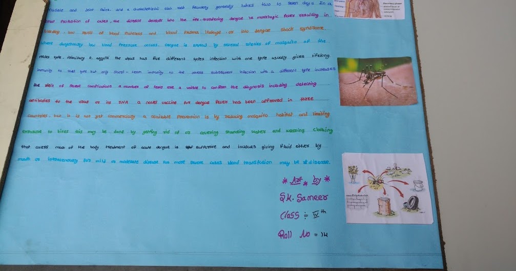 JHANSI SCHOOL: SCIENCE PROJECT ON DENGUE