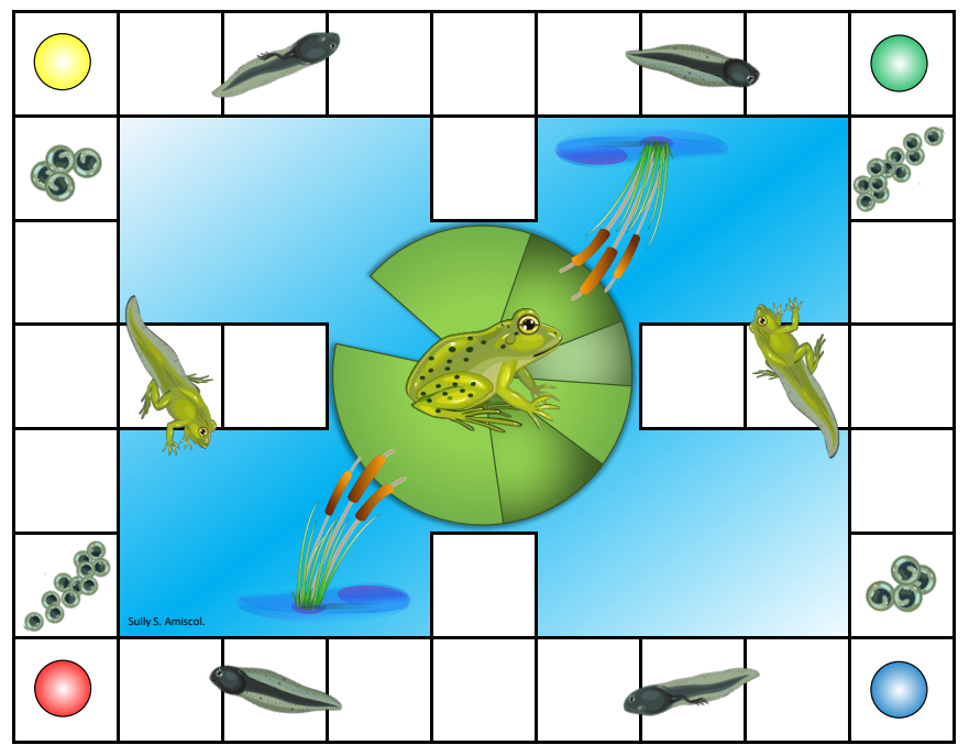 Amiscol: Jeu du cycle de vie de la grenouille