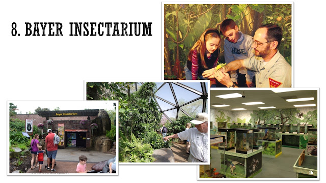 Insect Museums | Insectariums | Entomology