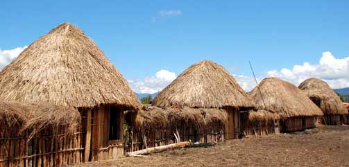 Type Of House: 5 Rumah Adat Paling Unik Indonesia