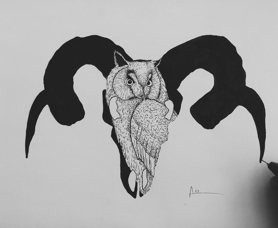 Design Stack: A Blog about Art, Design and Architecture: Wildlife Double Exposure Drawings