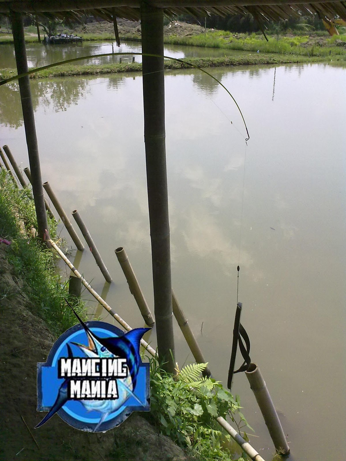 Kami Minang Saiyo: Mancing Mania album