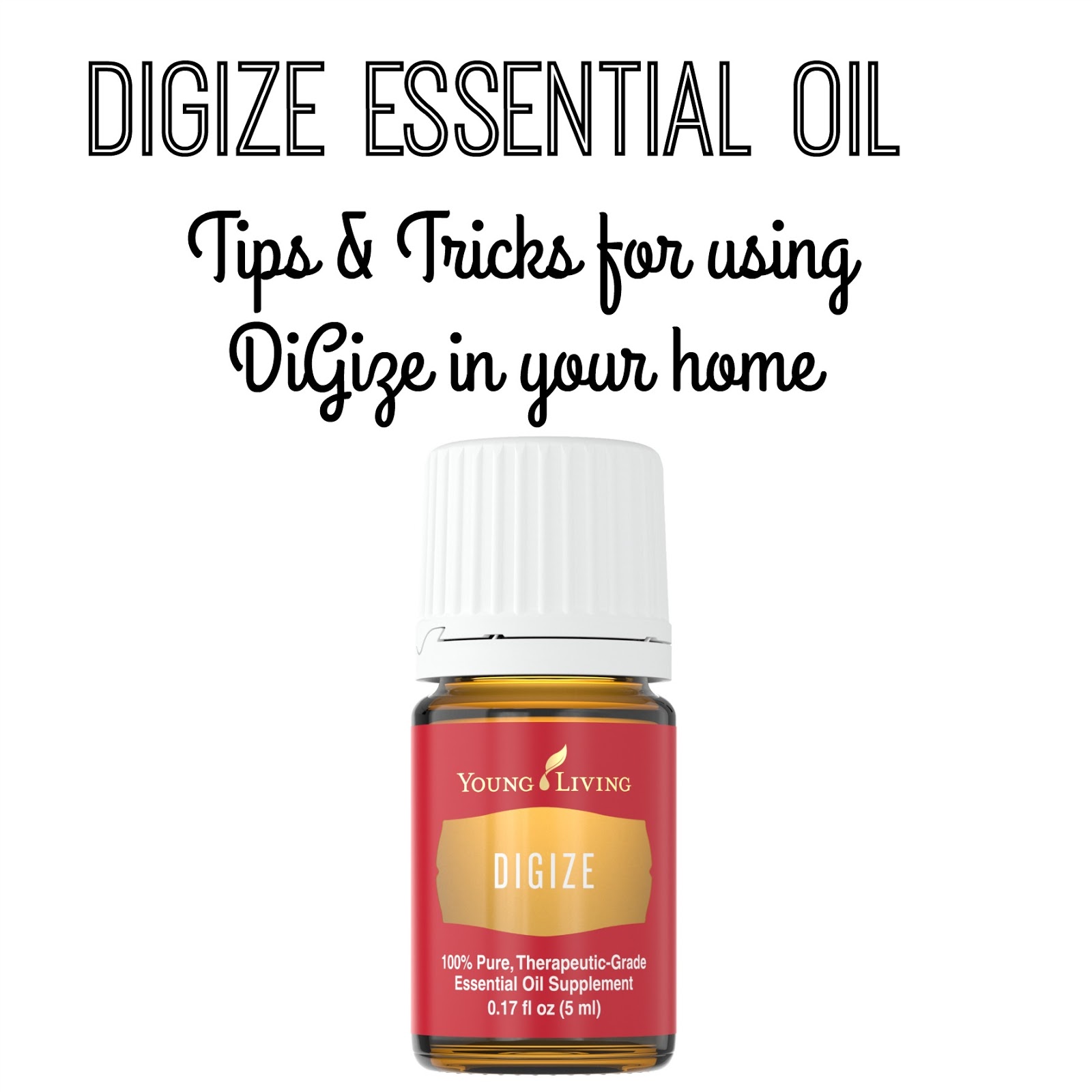 Living Wholly: Day 7: Using DiGize Essential Oil