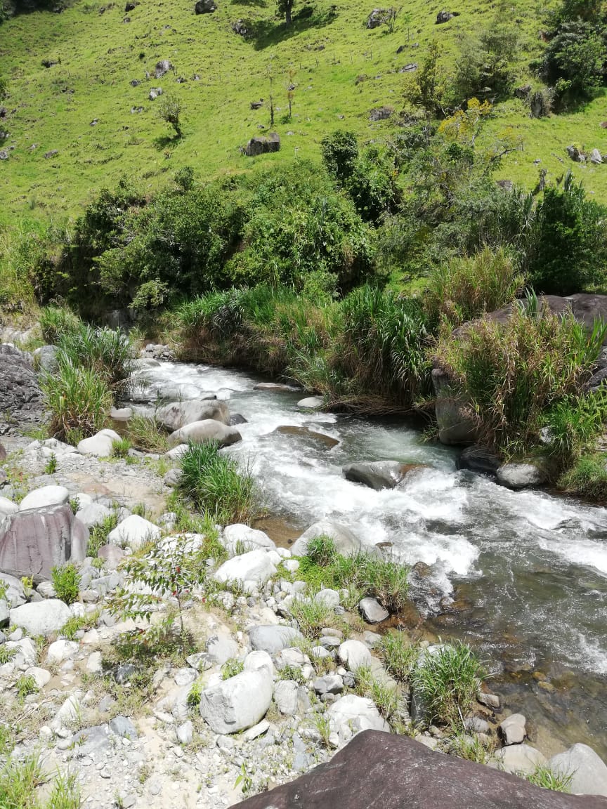 Cuenca del Rio Térraba