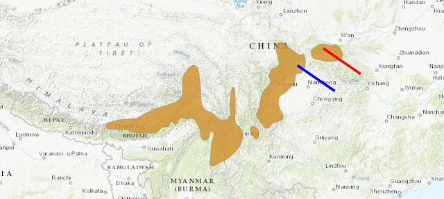Zoology Jottings: The Golden Takin: who, what and when