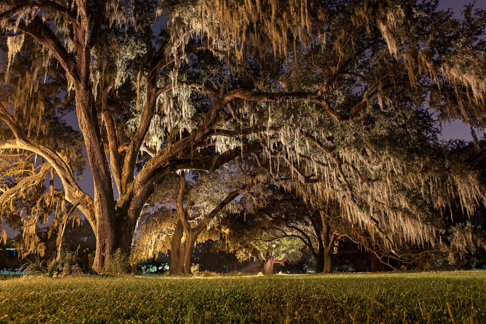 Frank Relle Photography