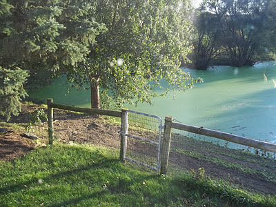 Pure Country Living: The Witness movie location tour: As i tour the now ...