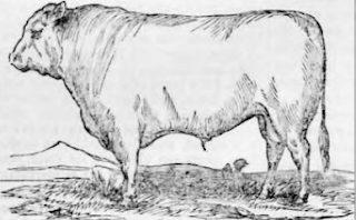 Don Fox Family and Social History: William McCombie (1805 – 1880 ...