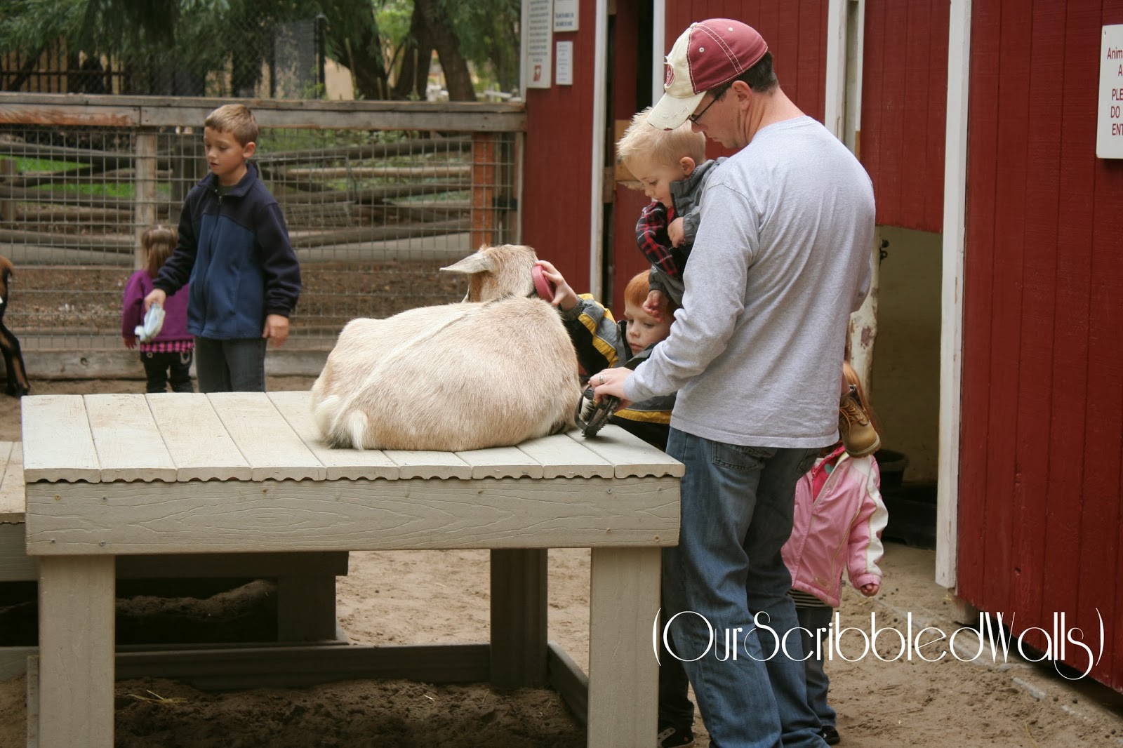 Our Scribbled Walls: Potatoes, Zoos, and The General Relief Society Meeting