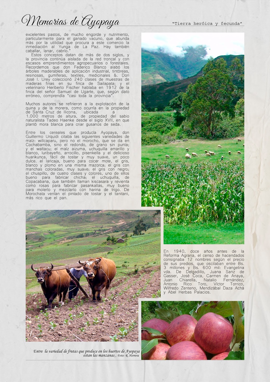 AYOPAYA DOCUMENTA: 2015