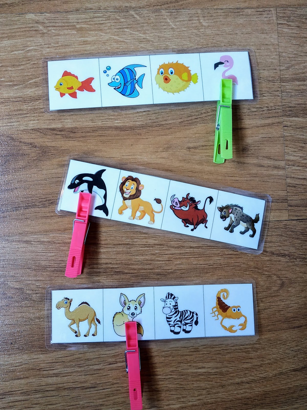 Mi Pequeño Rincón: JUEGO DEL INTRUSO. ANIMALES SALVAJES