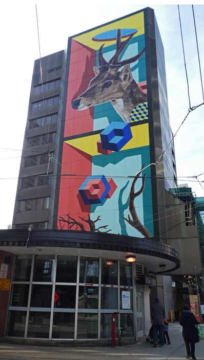 Occasional Toronto: Another Birdo