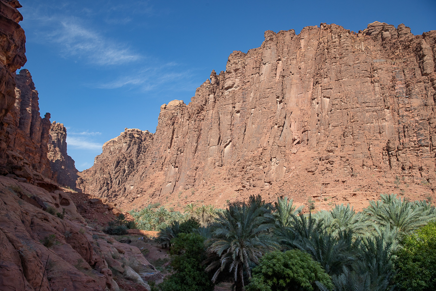Birds of Saudi Arabia: Wadi Disah