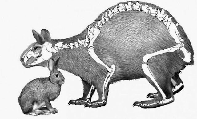 Fauna prehistórica descubiertas en España - Resolviendo la incógnita