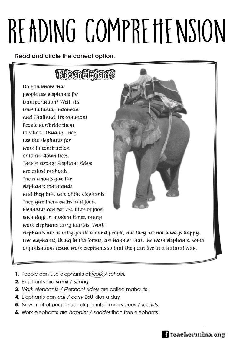 Teachermina: [reading comprehension] ride an elephant?