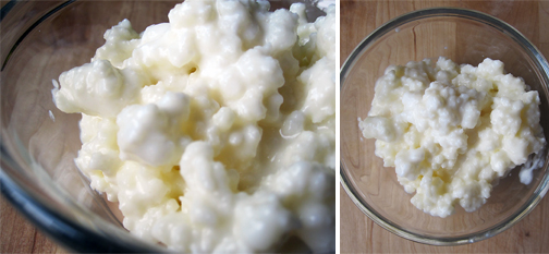 Artistta: How to Make Kefir w/ Kefir Grains & more helpful information