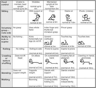 Developmental Delay & Milestones