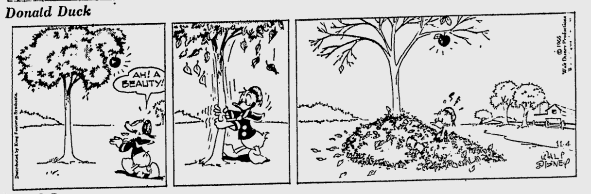 5 Autumn Comic Strips!