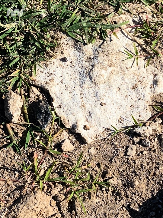 Wine MDQ: marzo 2020