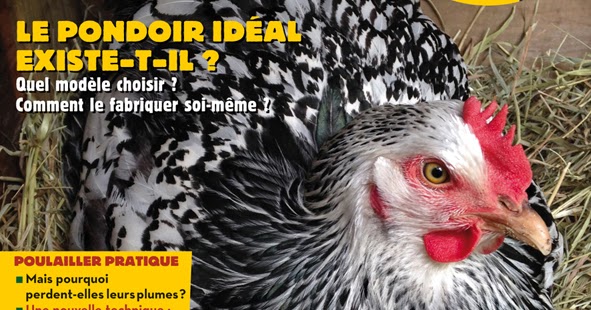 Poules et jardin