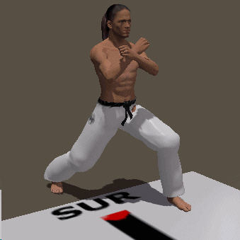 Todos los Katas de Karate: GANKAKU PASO A PASO Y CON DETALLES