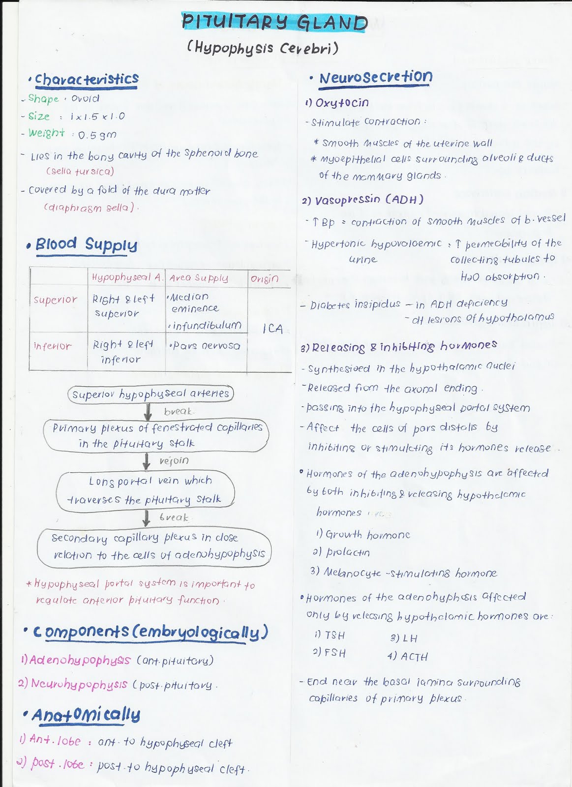 Histologically Awesome!: THE ENDOCRINE SYSTEM (notes)