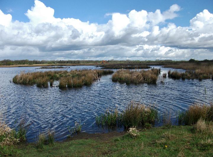 Vinnyman's Birding and Nature Blog.: Middleton Lakes, RSPB Nature Reserve.