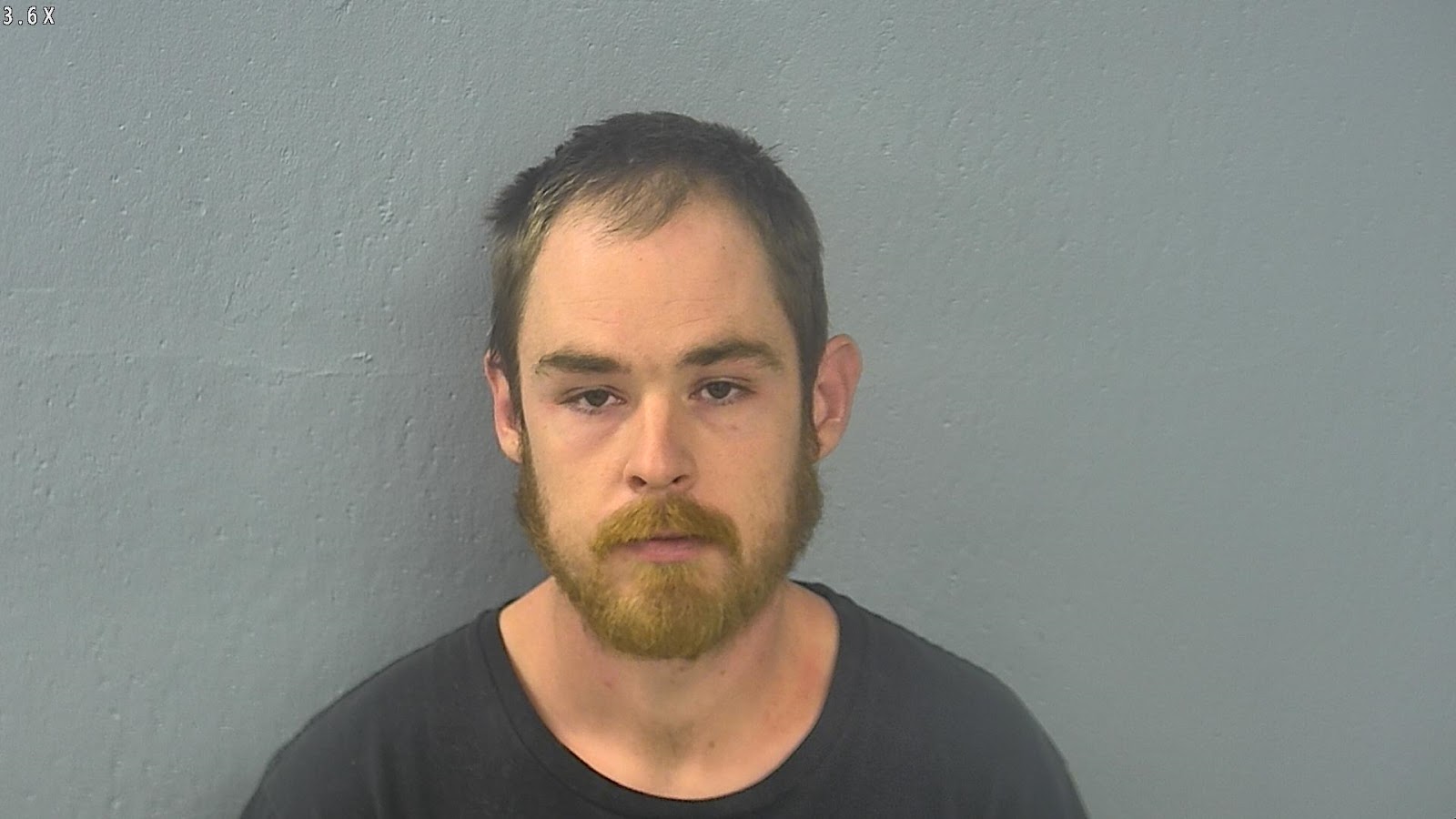 The Turner Report: Federal grand jury indicts Anderson man on child ... The Turner Report: Federal grand jury indicts Anderson man on child ...