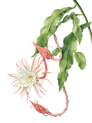 WILD THING: Beverly Allen