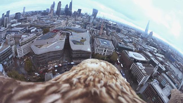 Teknik Sudut Pengambilan Gambar Dalam Fotografi - Multimedia