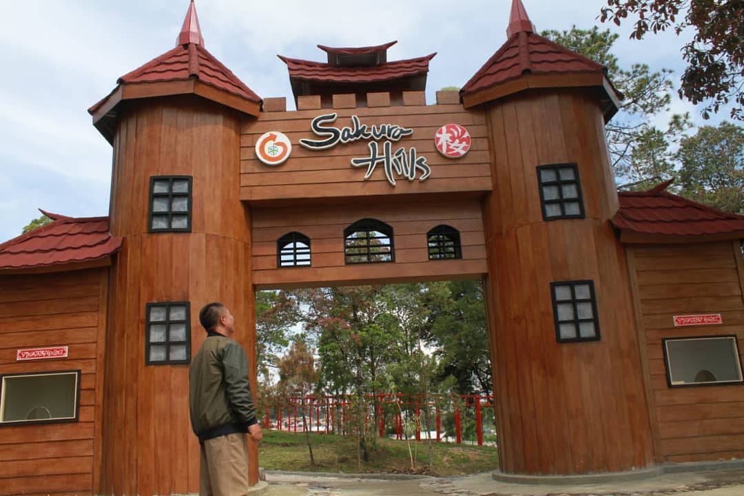 Harga Tiket Masuk Dan Lokasi Sakura Hills Karanganyar Terbaru Harga Tiket Masuk Dan Lokasi Sakura Hills Karanganyar Terbaru