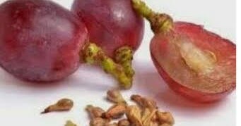 Fakta Unik Manfaat Biji Buah Anggur Bagi Kesehatan Tubuh - Mukhlas.com