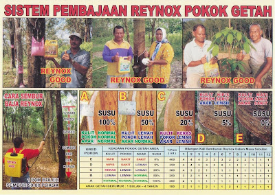 Galeri Informasi Terkini ~ Reynox Malaysia