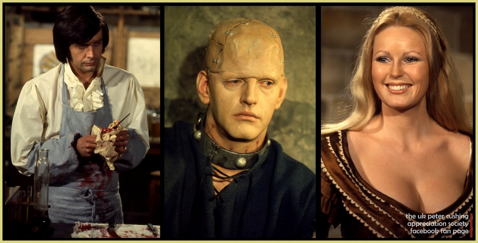 PETERCUSHINGBLOG.BLOGSPOT.COM (PCASUK): REVIEW AND GALLERY ...