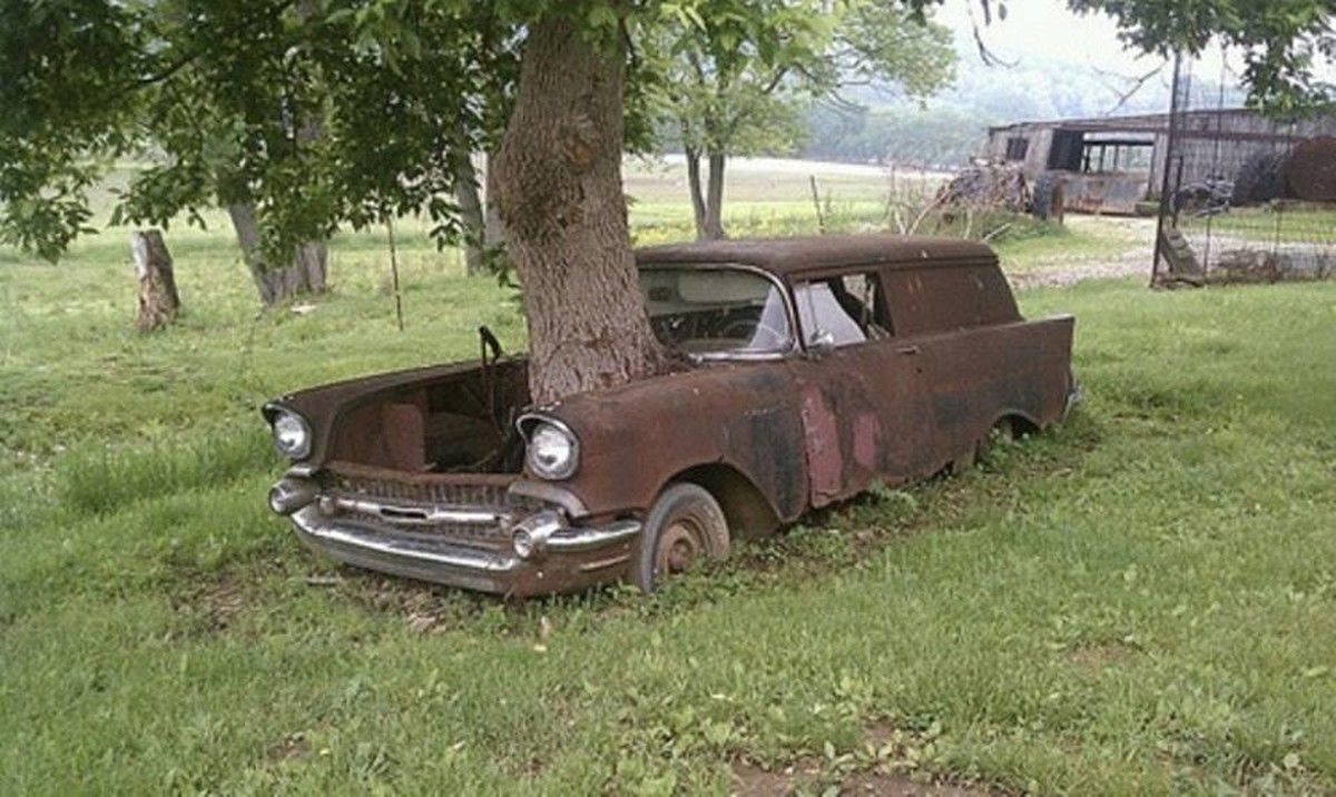 22 Amazing Photographs of Trees Growing Through Classic Cars ~ Vintage ...