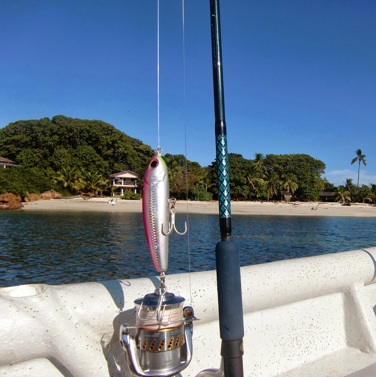 Masta'Fish guide pêche Bassin d 'Arcachon