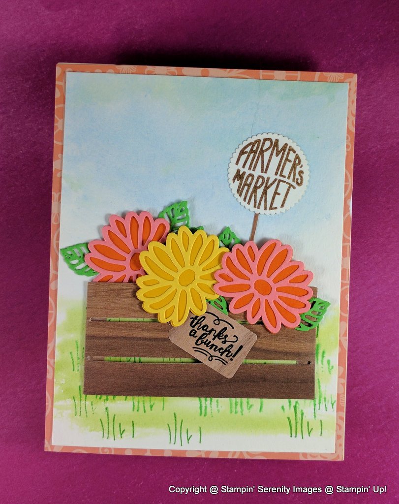 Stamping Serenity: Happy Mail Monday!