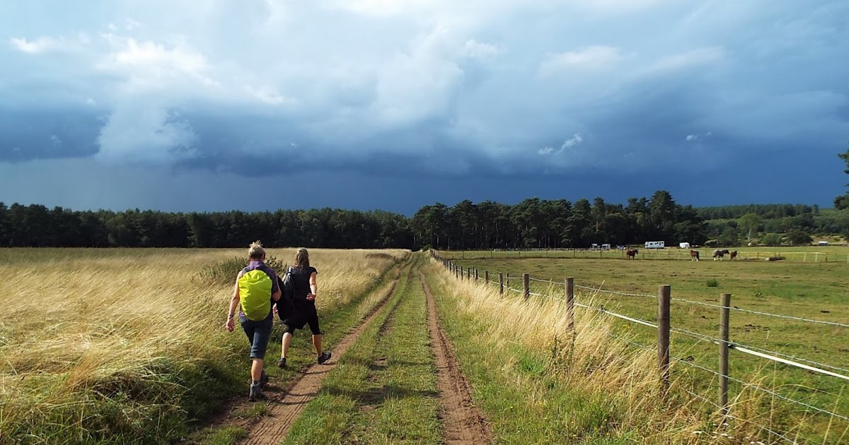Reinterred: Santon Downham and Thetford Walk