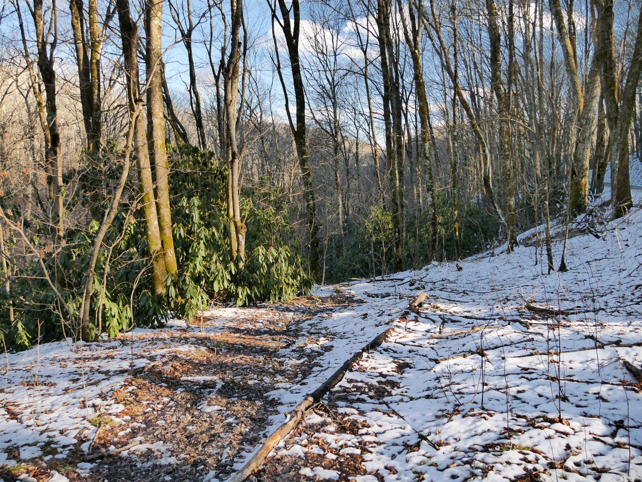 American Travel Journal: Max Patch Road to Max Patch Summit ...
