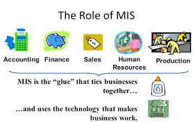 What is the MIS for Company secretary?