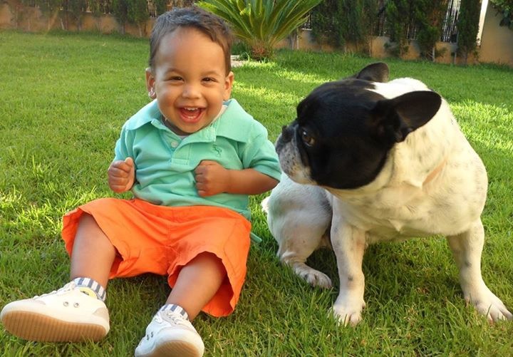 my revista: Beneficios de tener una mascota