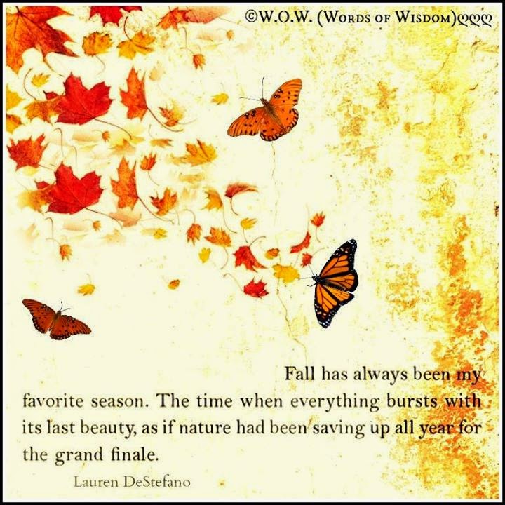 FALL HAS ALWAYS BEEN MY FAVORITE SEASON. THE TIME WHEN EVERYTHING ...