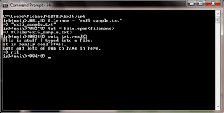 TESTHEAD: Exercise 15: Reading Files: Learn Ruby The Hard Way: Practicum