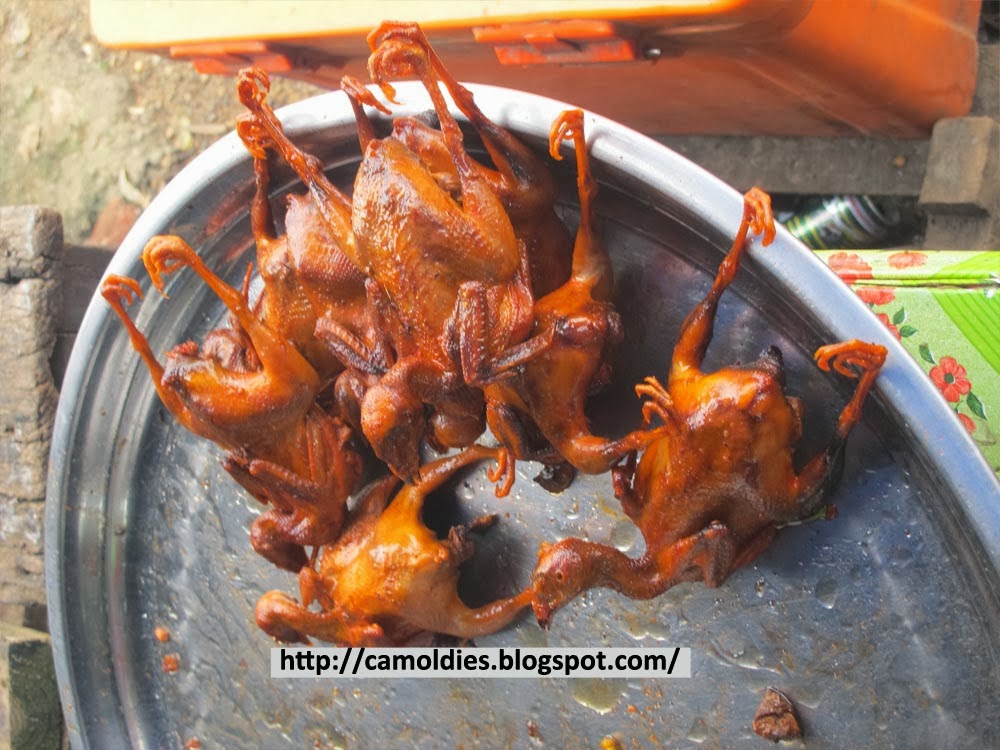 Frog, Shrimp - Cam Oldies