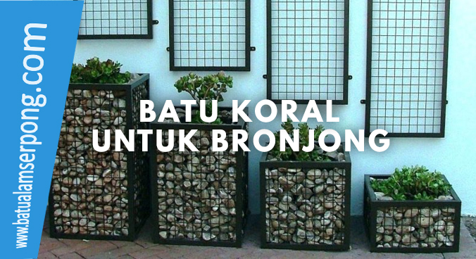 INSPIRASI BATU KORAL UNTUK BRONJONG - JUAL BATU ALAM TERLENGKAP DIJAKARTA