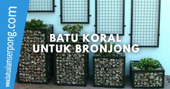 INSPIRASI BATU KORAL UNTUK BRONJONG - JUAL BATU ALAM TERLENGKAP DIJAKARTA