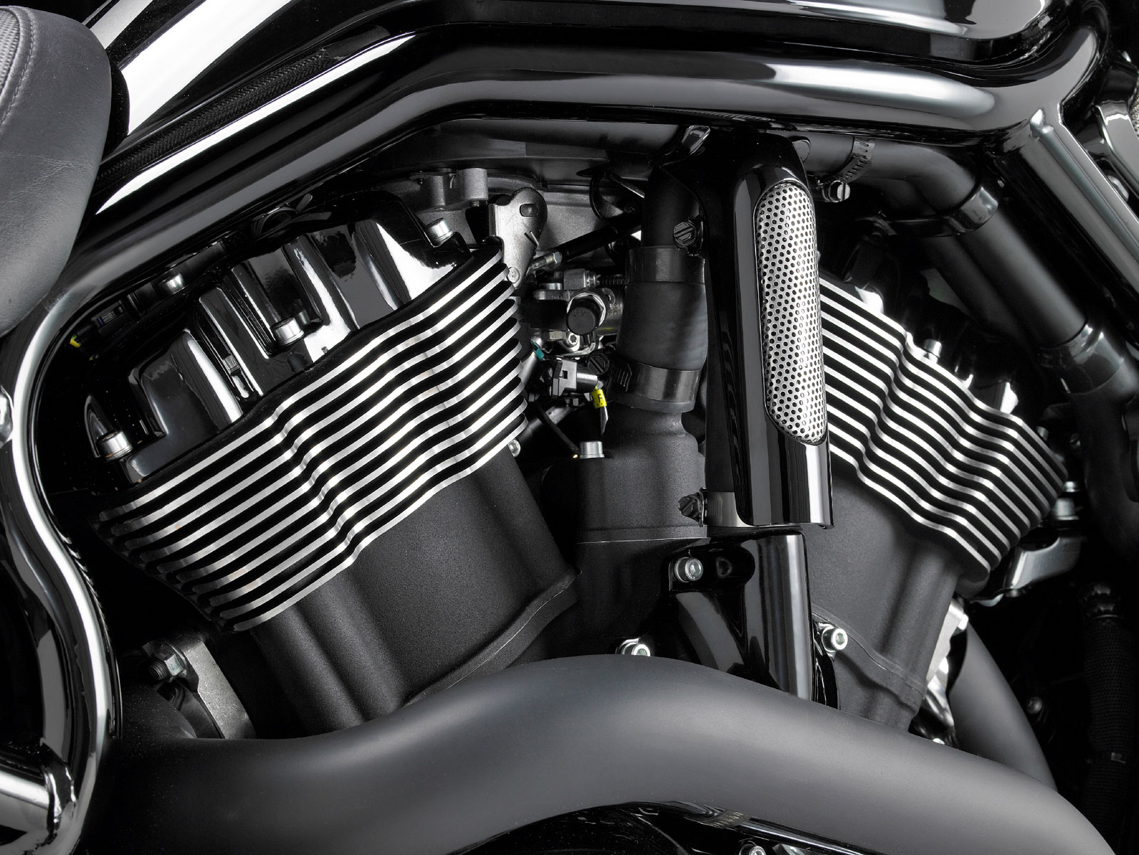 opulent wheeling: HD V- ROD Night Rod Special